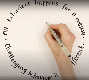 Positive Behaviour Support for Adults and Children with Challenging ...