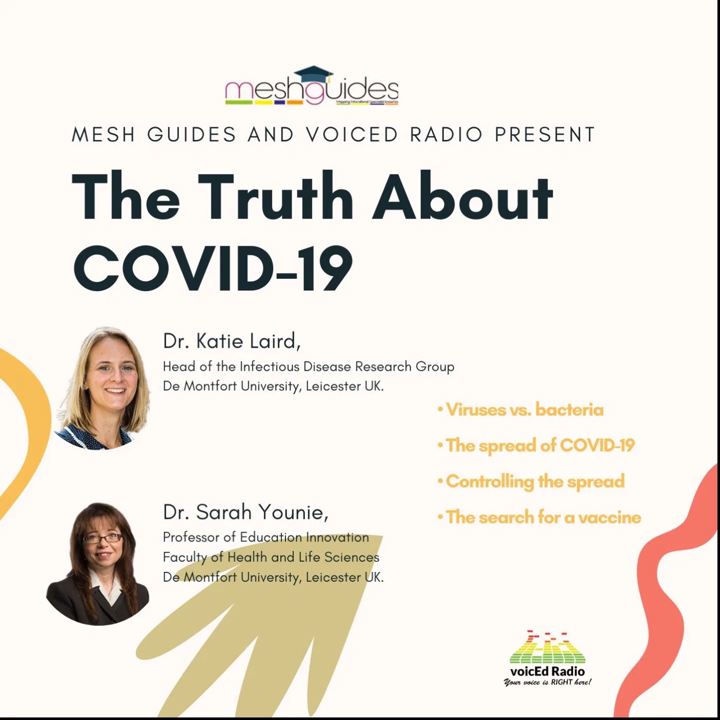 Info-graphic Summary of MESHguides International Activity – MESH